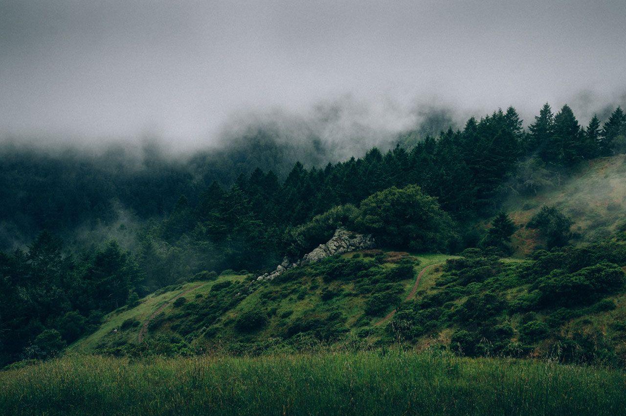 Deforestation Wallpapers - Top Free Deforestation Backgrounds ...