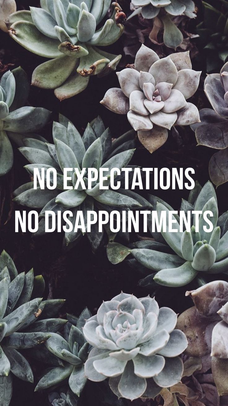 No Expectations Wallpapers - Top Free No Expectations Backgrounds - WallpaperAccess