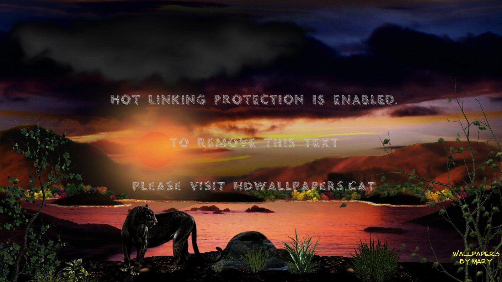 Peaceful Night Wallpapers - Top Free Peaceful Night Backgrounds ...