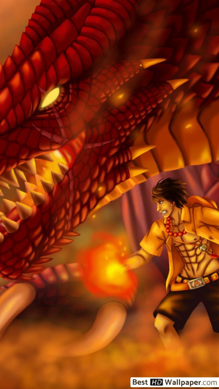 One Piece Dragon Wallpapers - Top Free One Piece Dragon Backgrounds ...