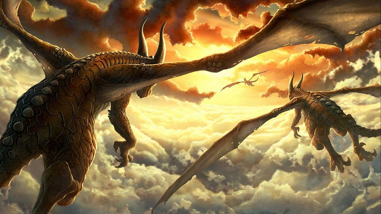 Yellow Dragon Wallpapers - Top Free Yellow Dragon Backgrounds ...