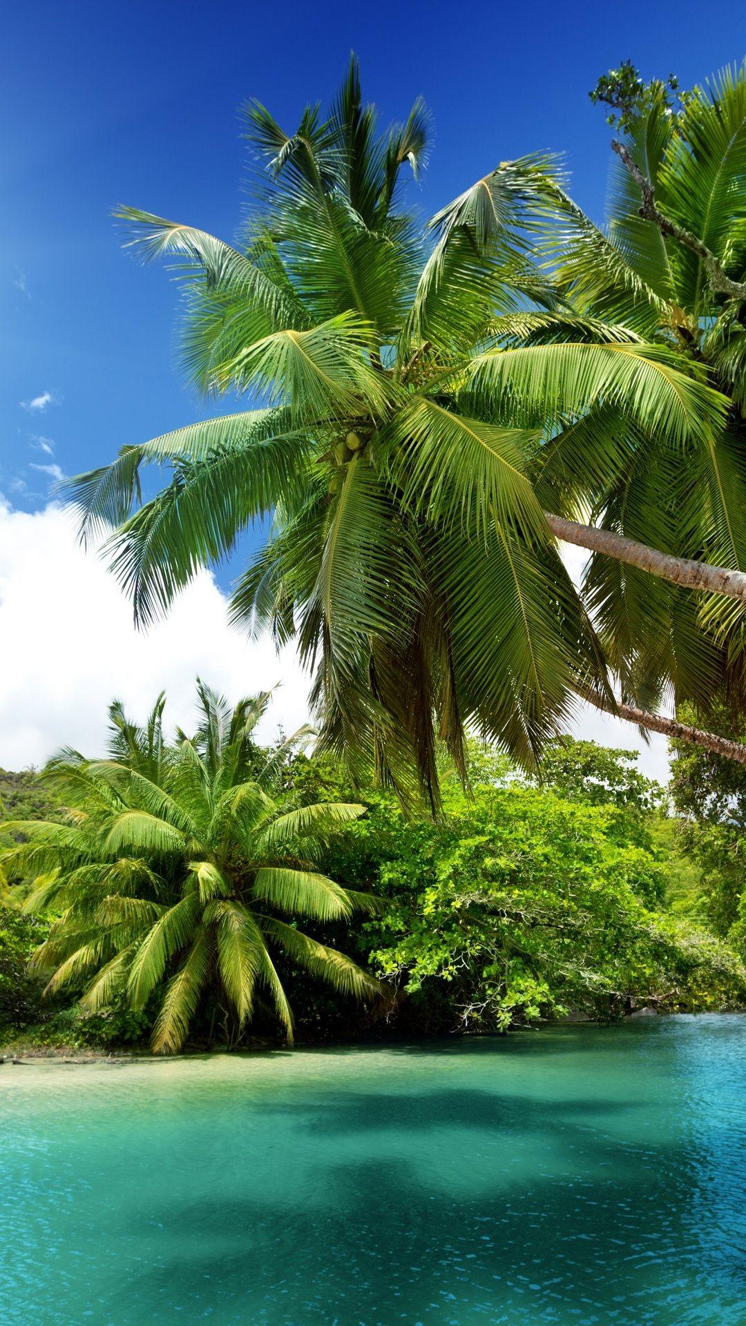 Tropical Summer Wallpapers - Top Free Tropical Summer Backgrounds ...