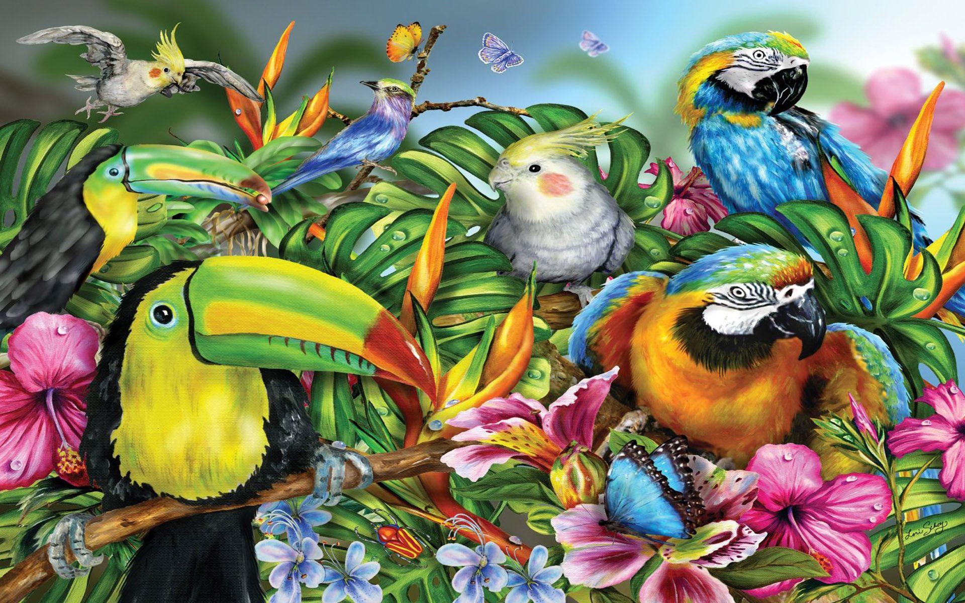 Tropical Birds Wallpapers - Top Free Tropical Birds Backgrounds ...