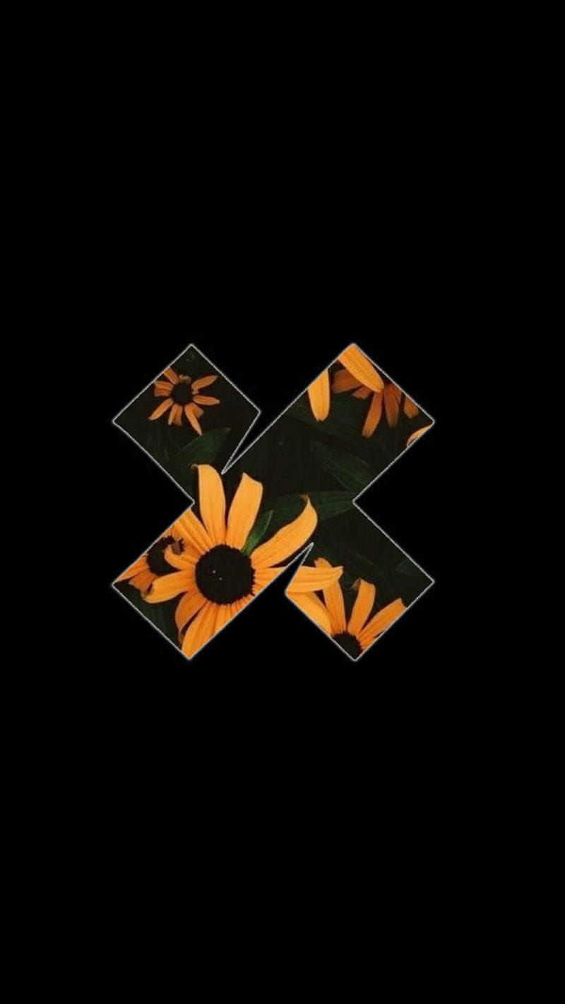 XPLR Wallpapers - Top Free XPLR Backgrounds - WallpaperAccess