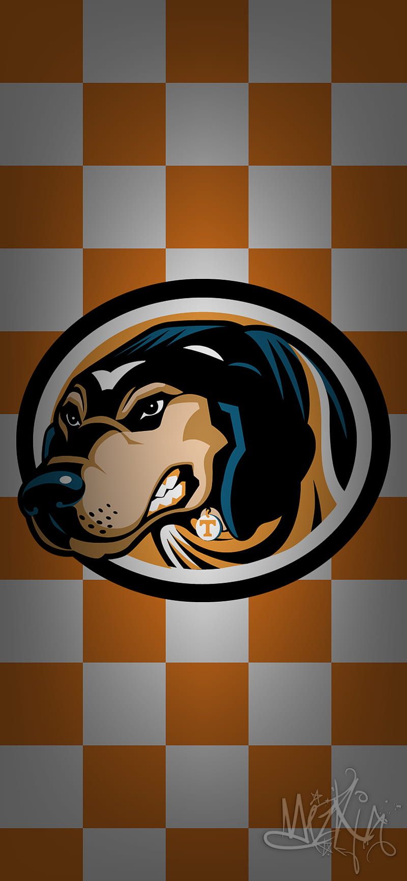 Knoxville Wallpapers - Top Free Knoxville Backgrounds - WallpaperAccess