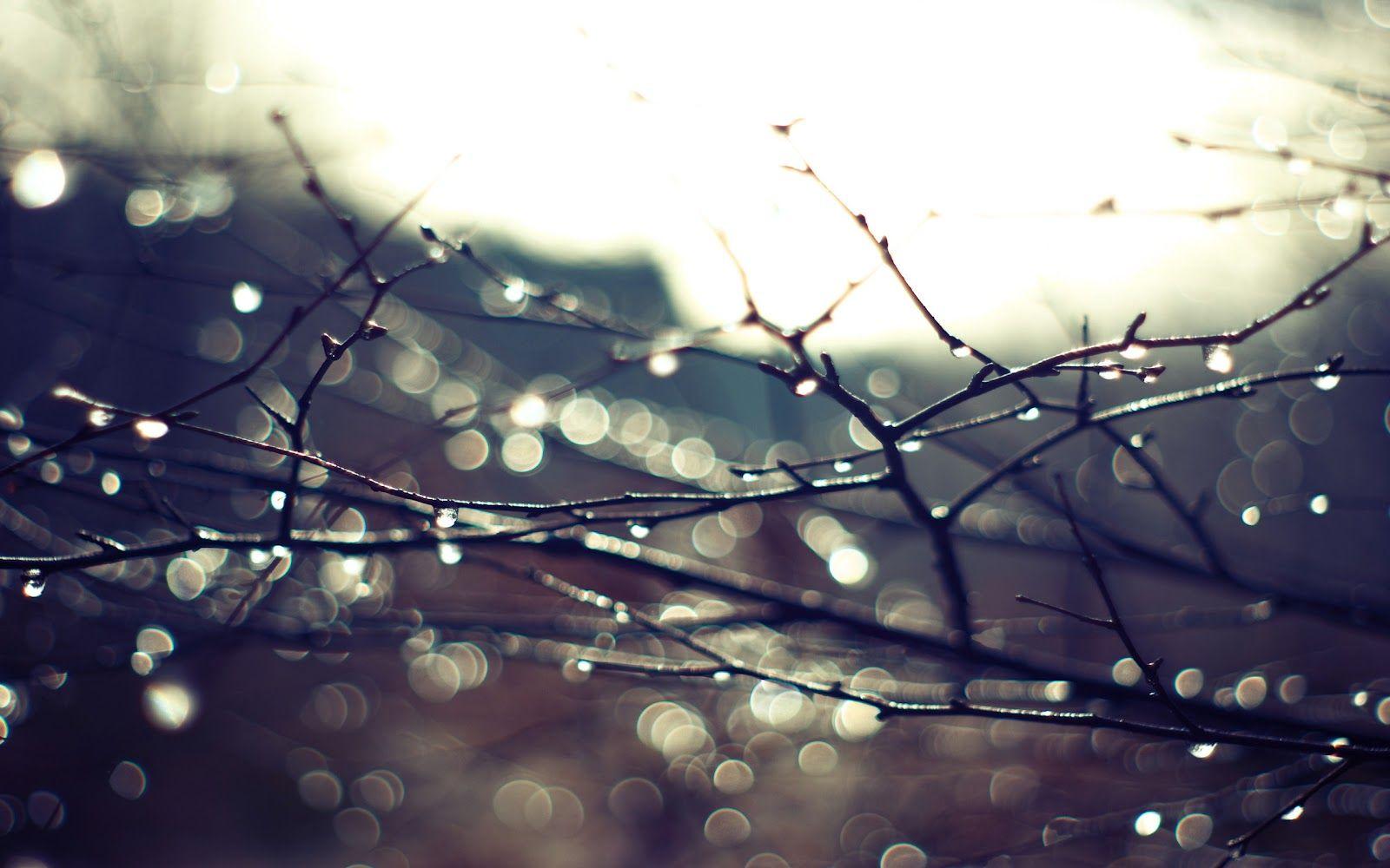 February Nature Wallpapers - Top Free February Nature Backgrounds ...