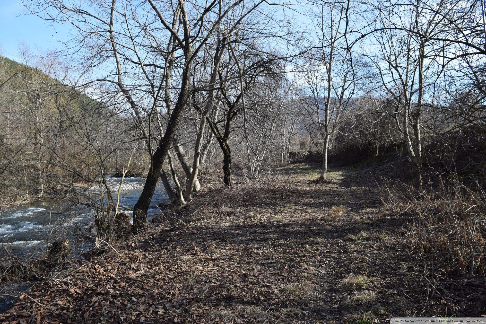 February Nature Wallpapers - Top Free February Nature Backgrounds ...