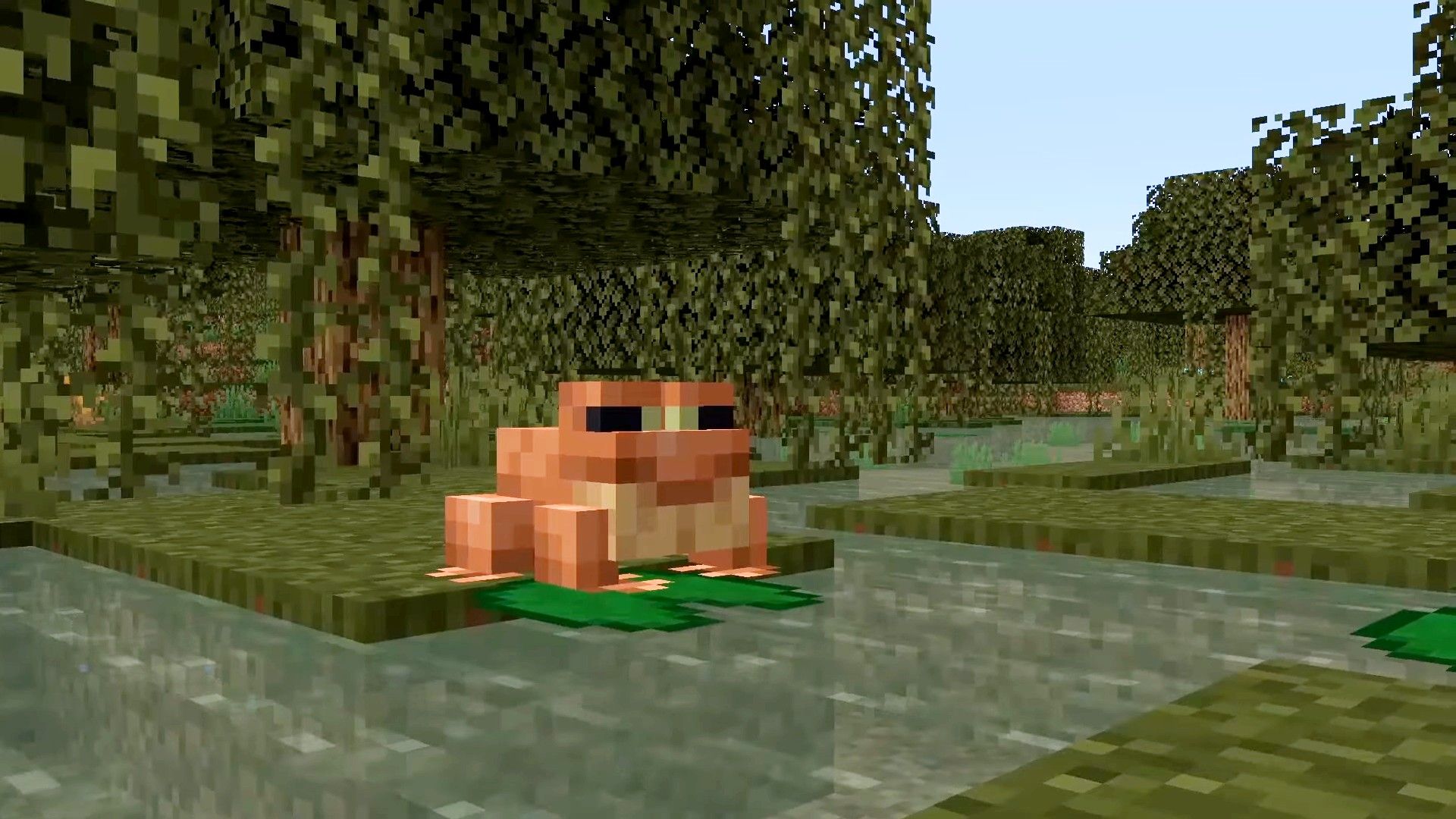 Minecraft Frog Wallpapers - Top Free Minecraft Frog Backgrounds ...