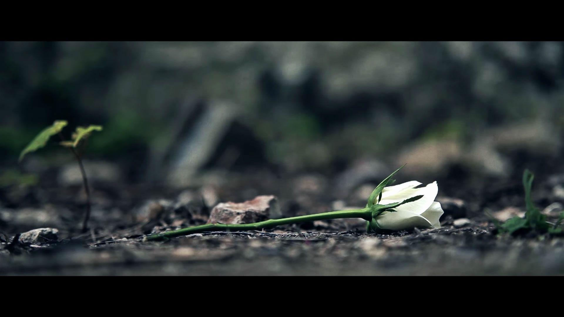 Cinematography Wallpapers - Top Free Cinematography Backgrounds ...