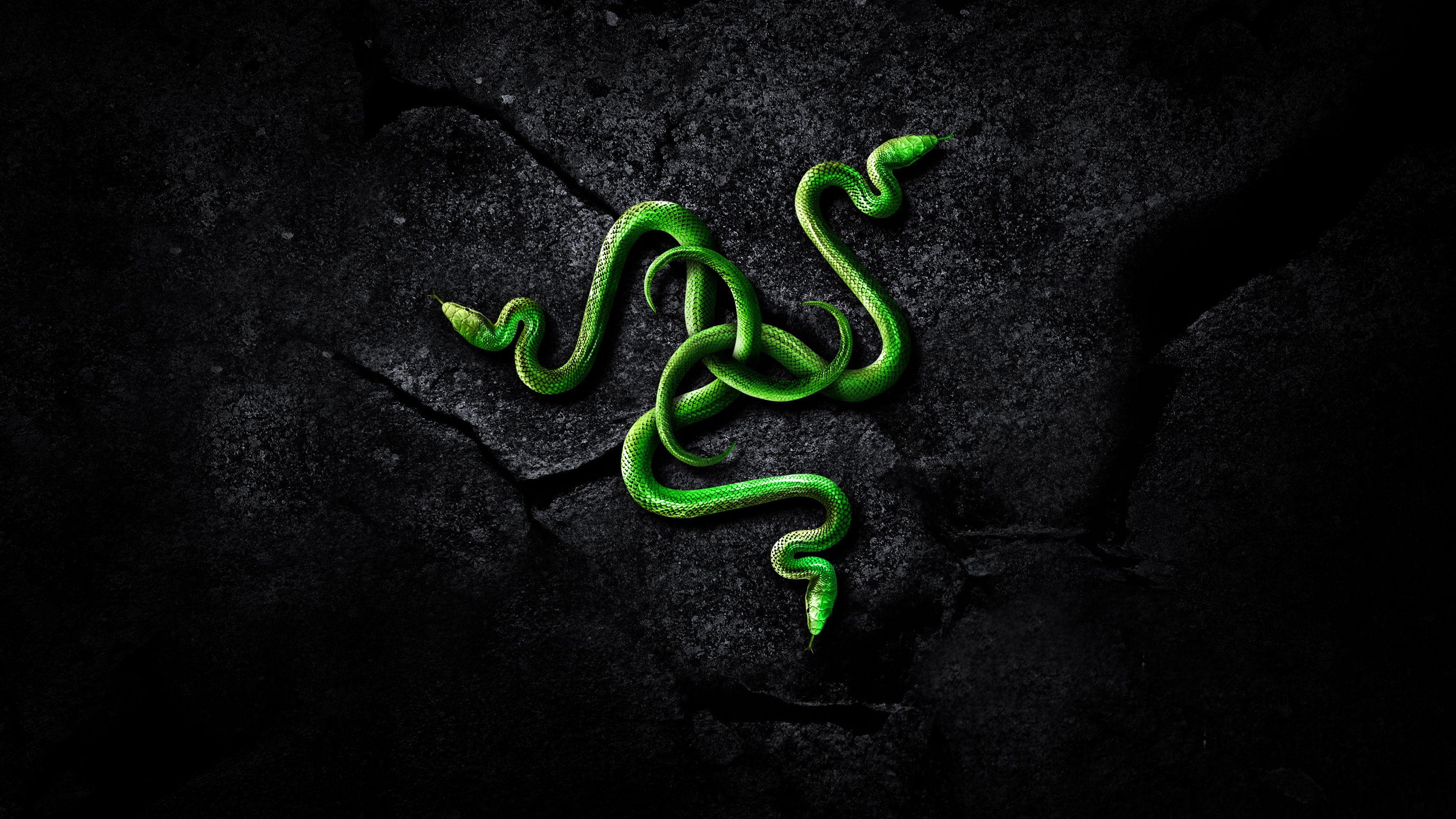 Razer Gaming Wallpapers - Top Free Razer Gaming Backgrounds ...