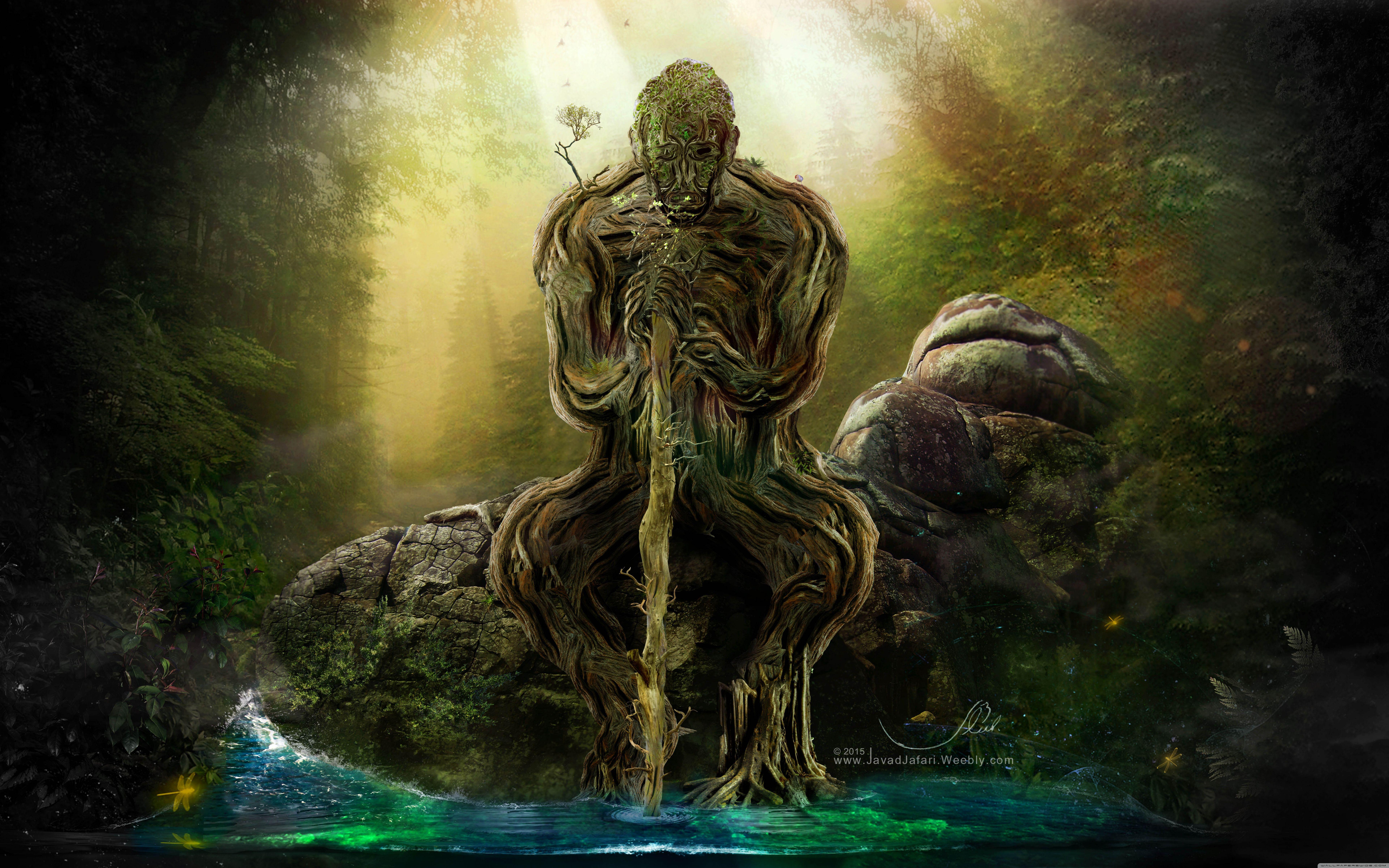 Old Tree Wallpapers - Top Free Old Tree Backgrounds - WallpaperAccess