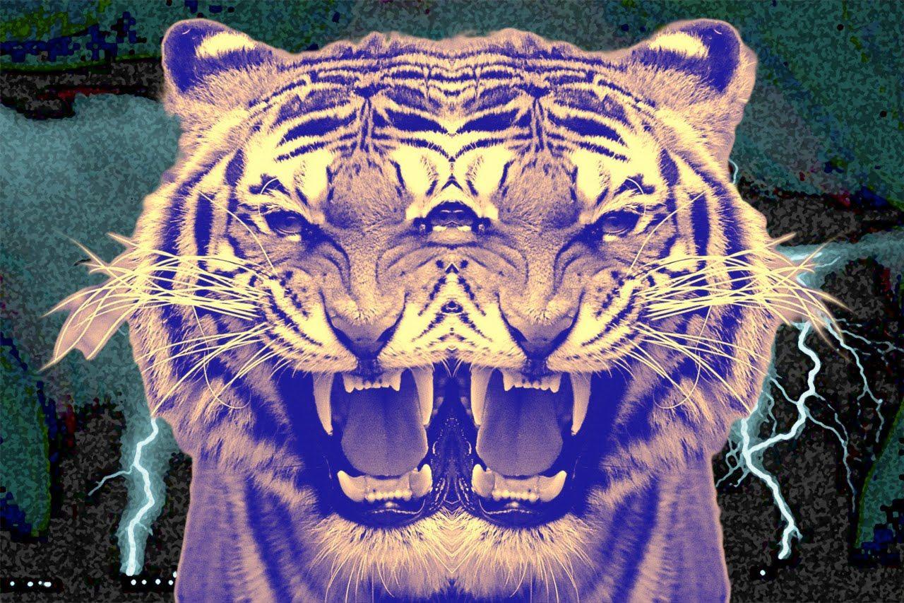 Trippy Tiger Wallpapers - Top Free Trippy Tiger Backgrounds ...