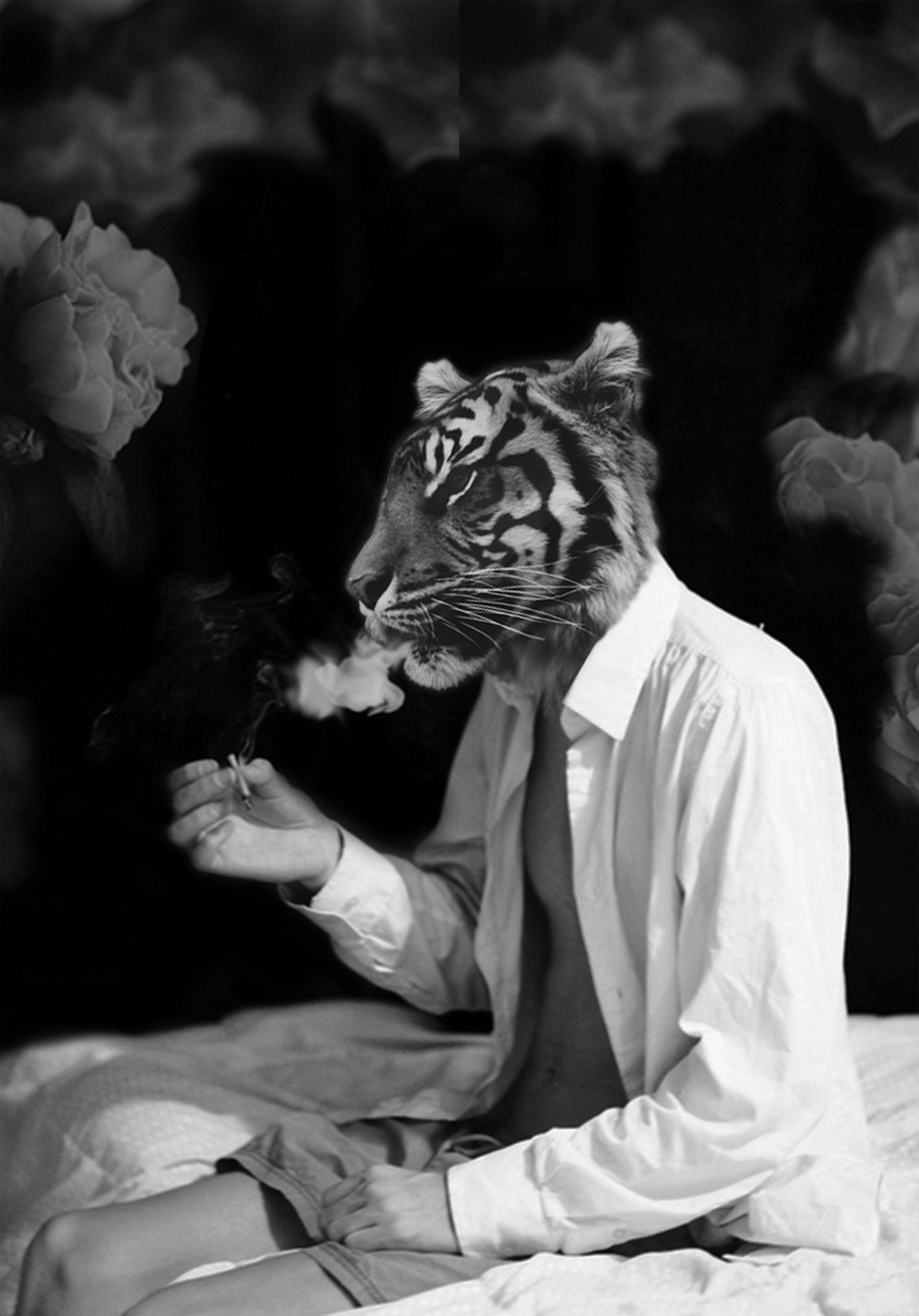 Trippy Tiger Wallpapers - Top Free Trippy Tiger Backgrounds ...