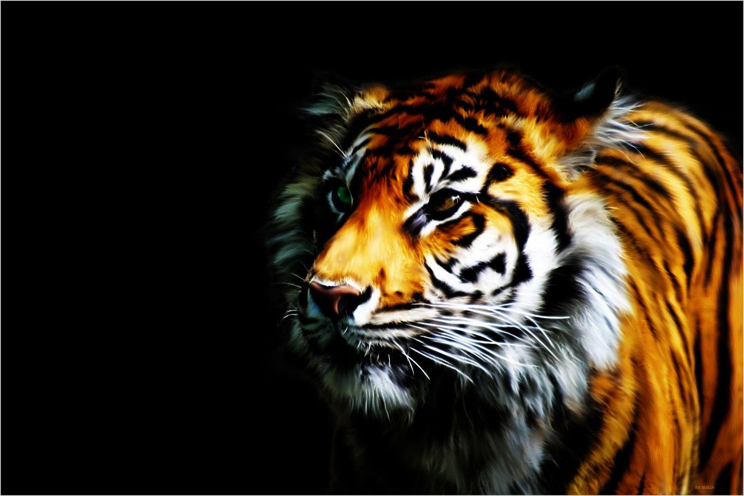 Trippy Tiger Wallpapers - Top Free Trippy Tiger Backgrounds ...