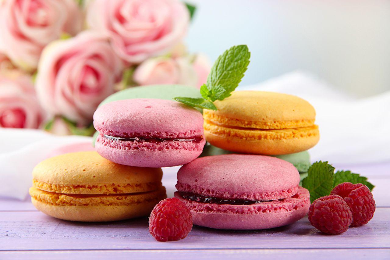 Macaron Wallpapers - Top Free Macaron Backgrounds - WallpaperAccess