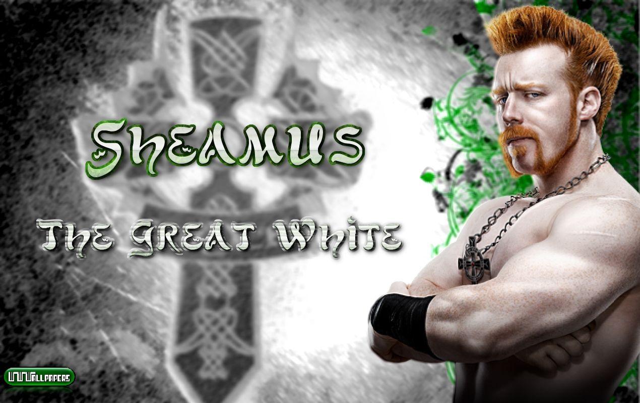 Sheamus Wallpapers - Top Free Sheamus Backgrounds - WallpaperAccess