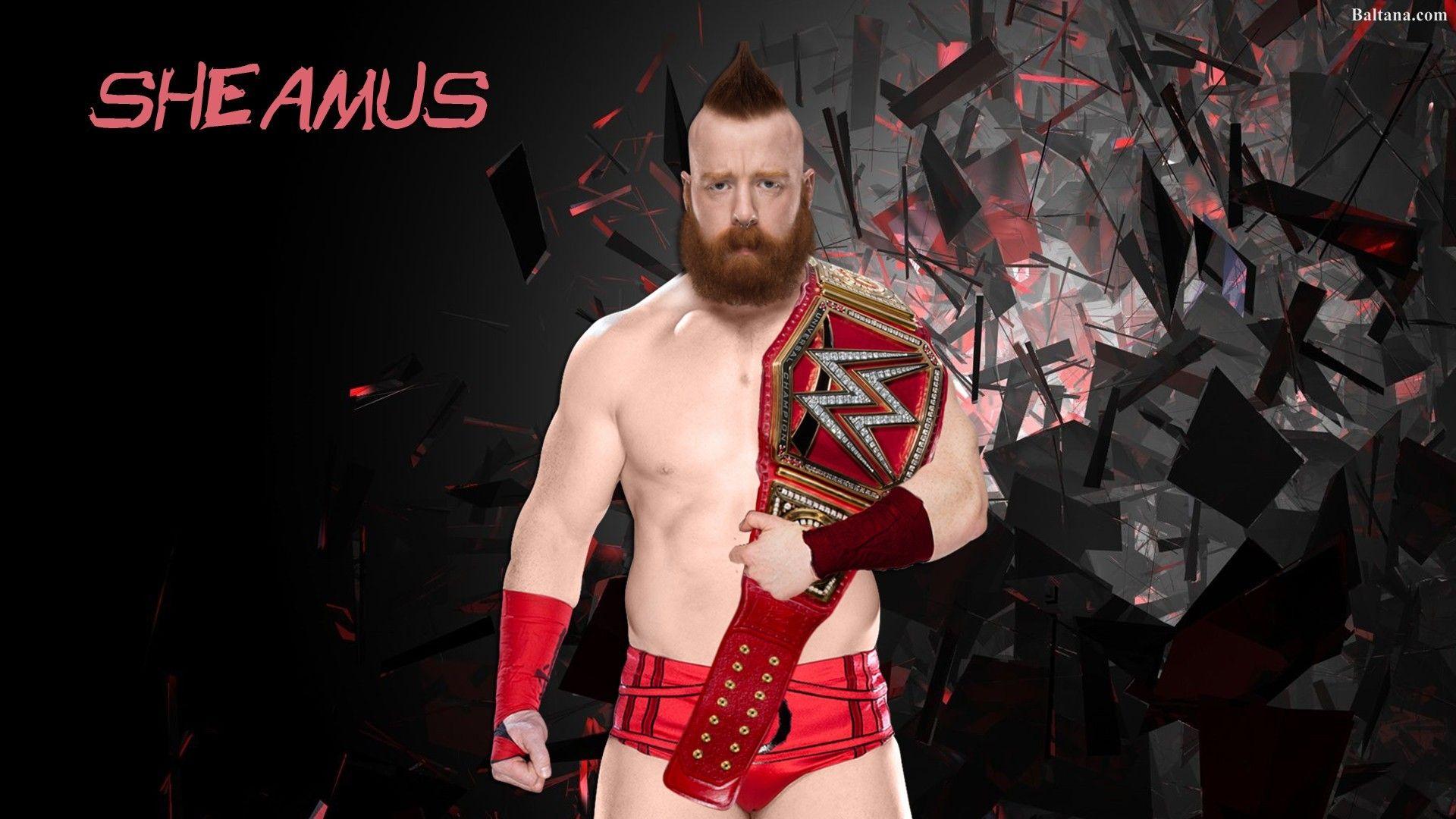 Sheamus Wallpapers - Top Free Sheamus Backgrounds - WallpaperAccess
