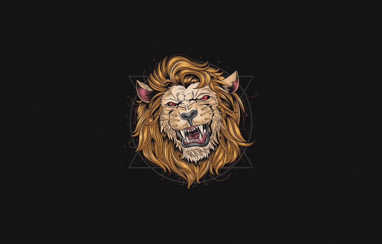 Minimalist Lion Wallpapers - Top Free Minimalist Lion Backgrounds ...