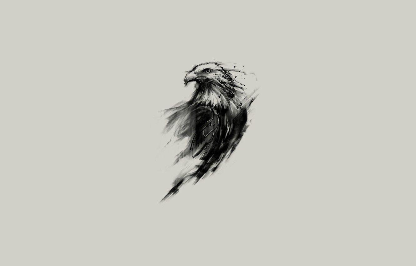 White Eagle Wallpapers - Top Free White Eagle Backgrounds - WallpaperAccess