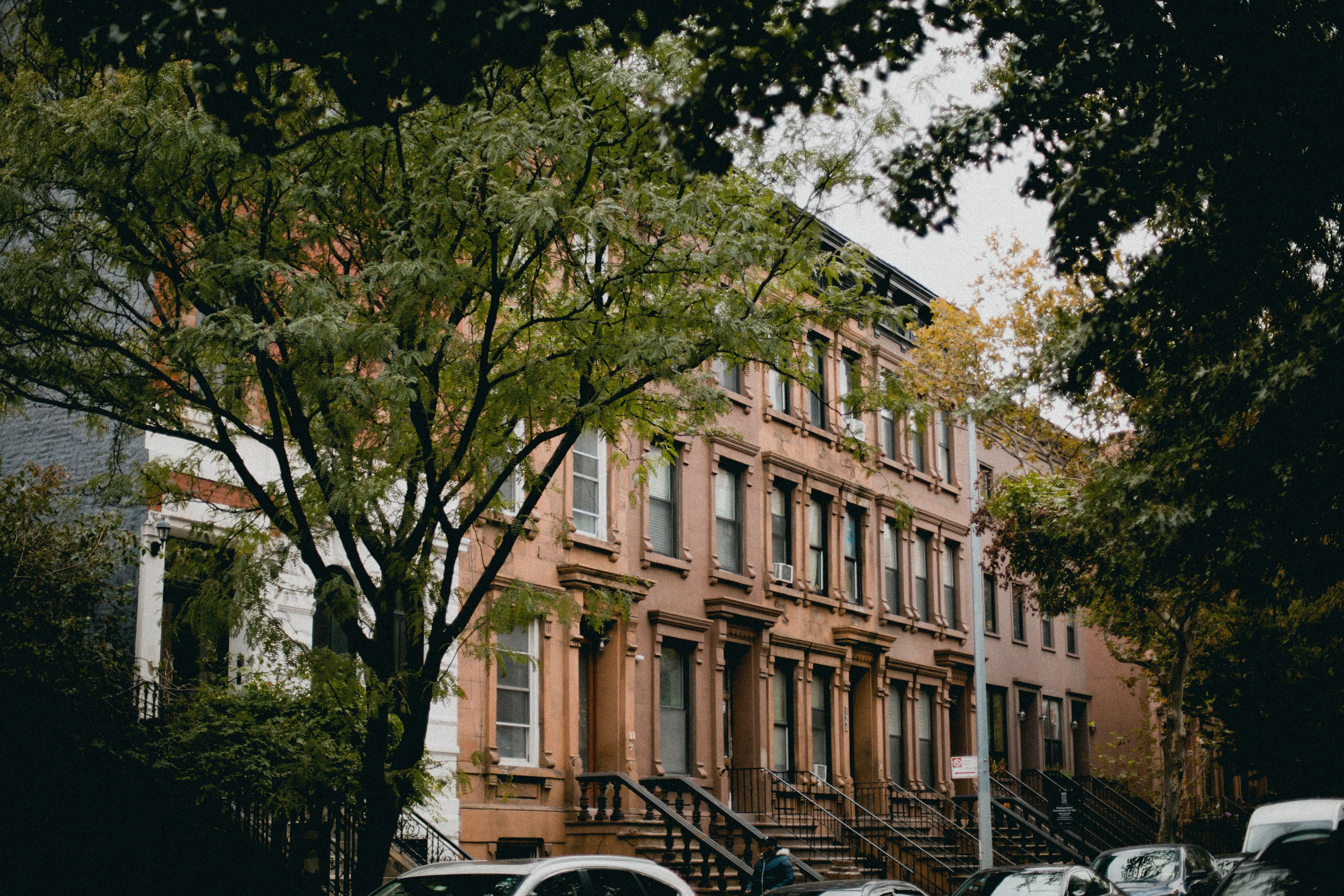 Harlem Wallpapers - Top Free Harlem Backgrounds - WallpaperAccess