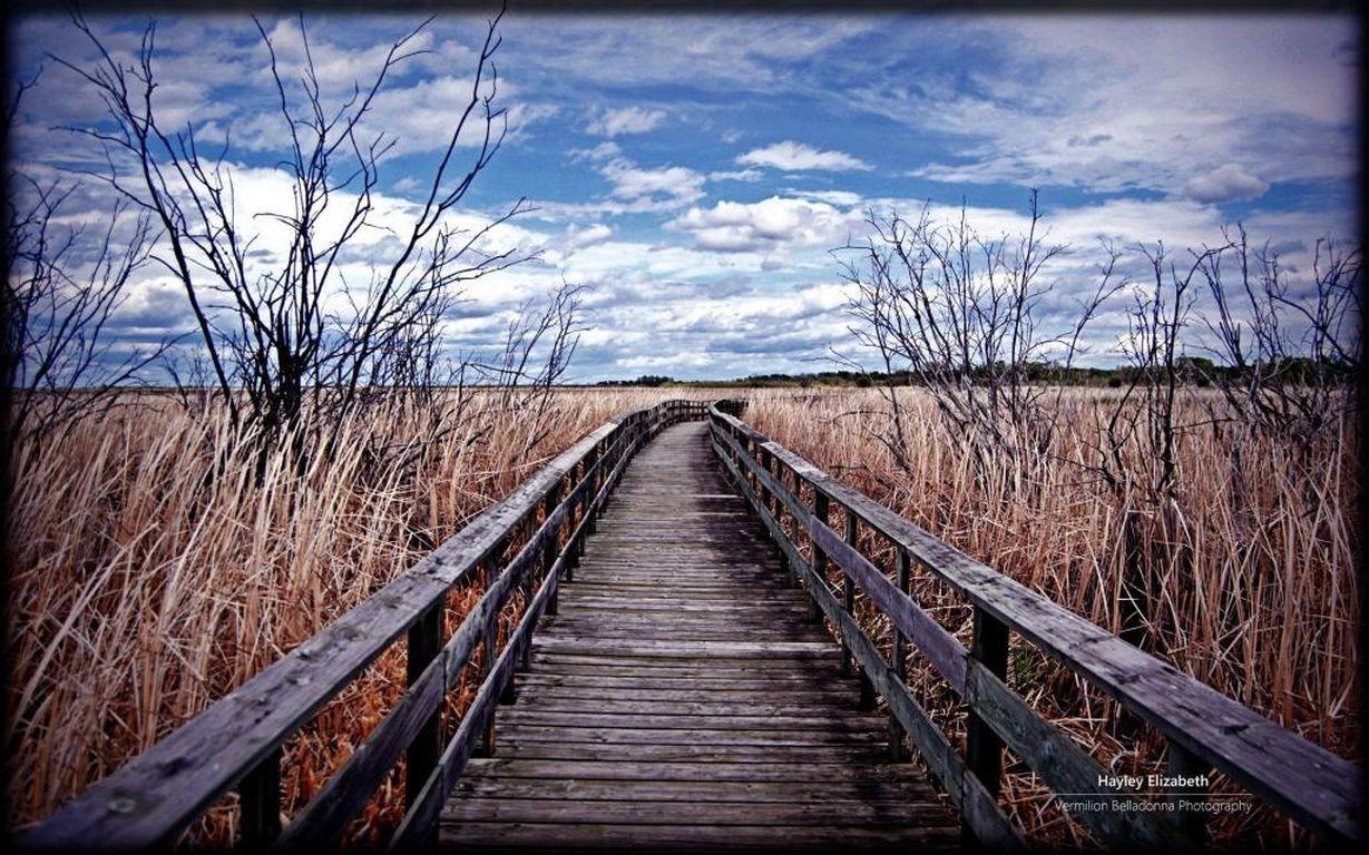 Colorful Boardwalk Wallpapers - Top Free Colorful Boardwalk Backgrounds ...