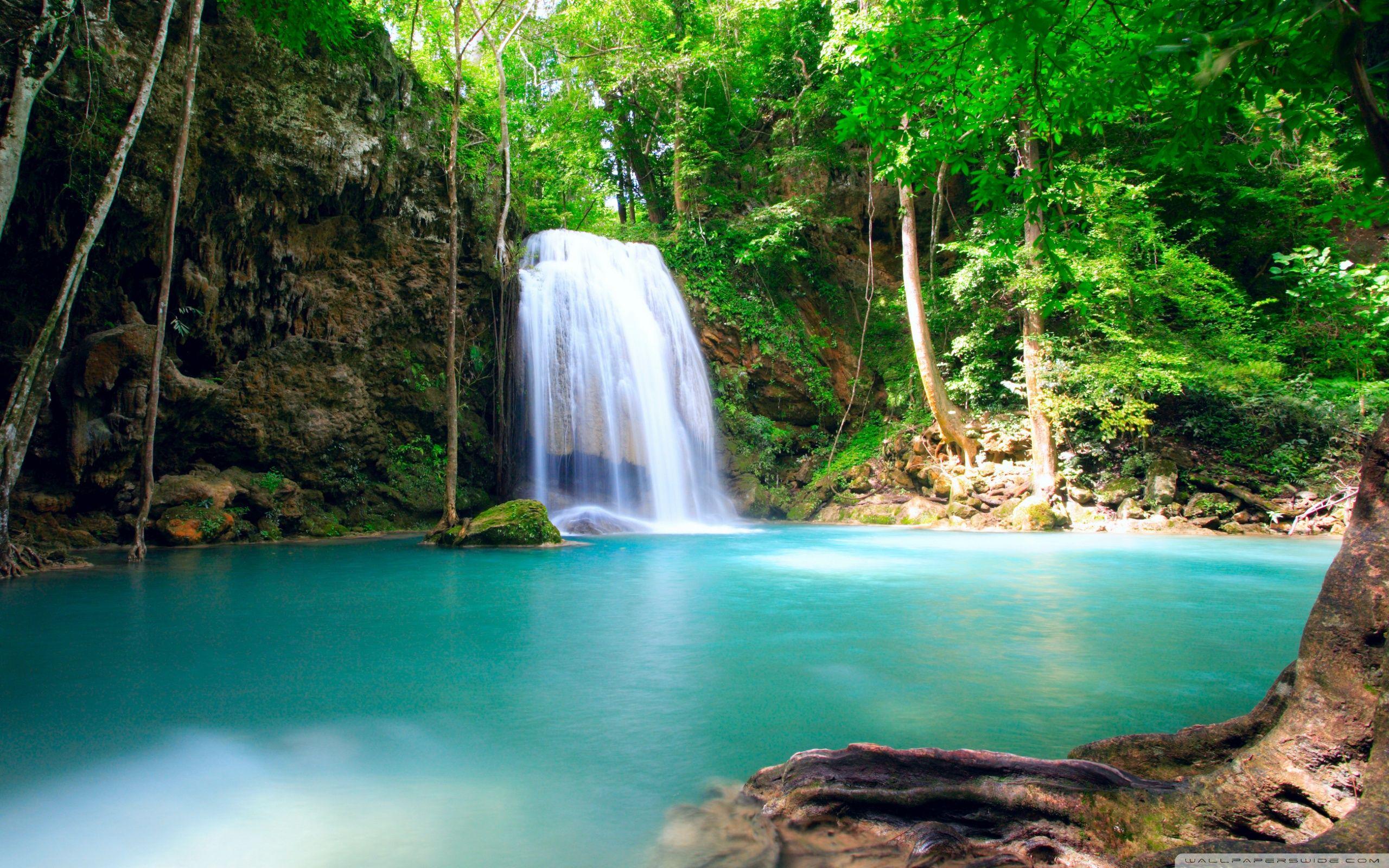 Forest Waterfall Desktop Wallpapers - Top Free Forest Waterfall Desktop ...