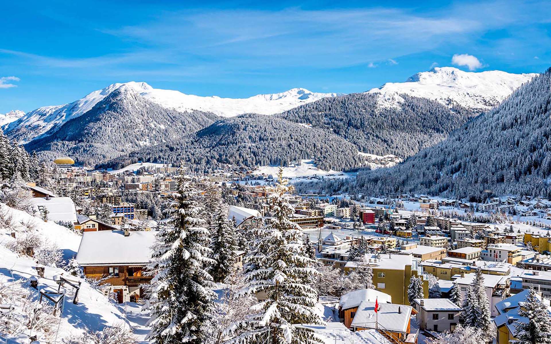 Davos Wallpapers - Top Free Davos Backgrounds - WallpaperAccess