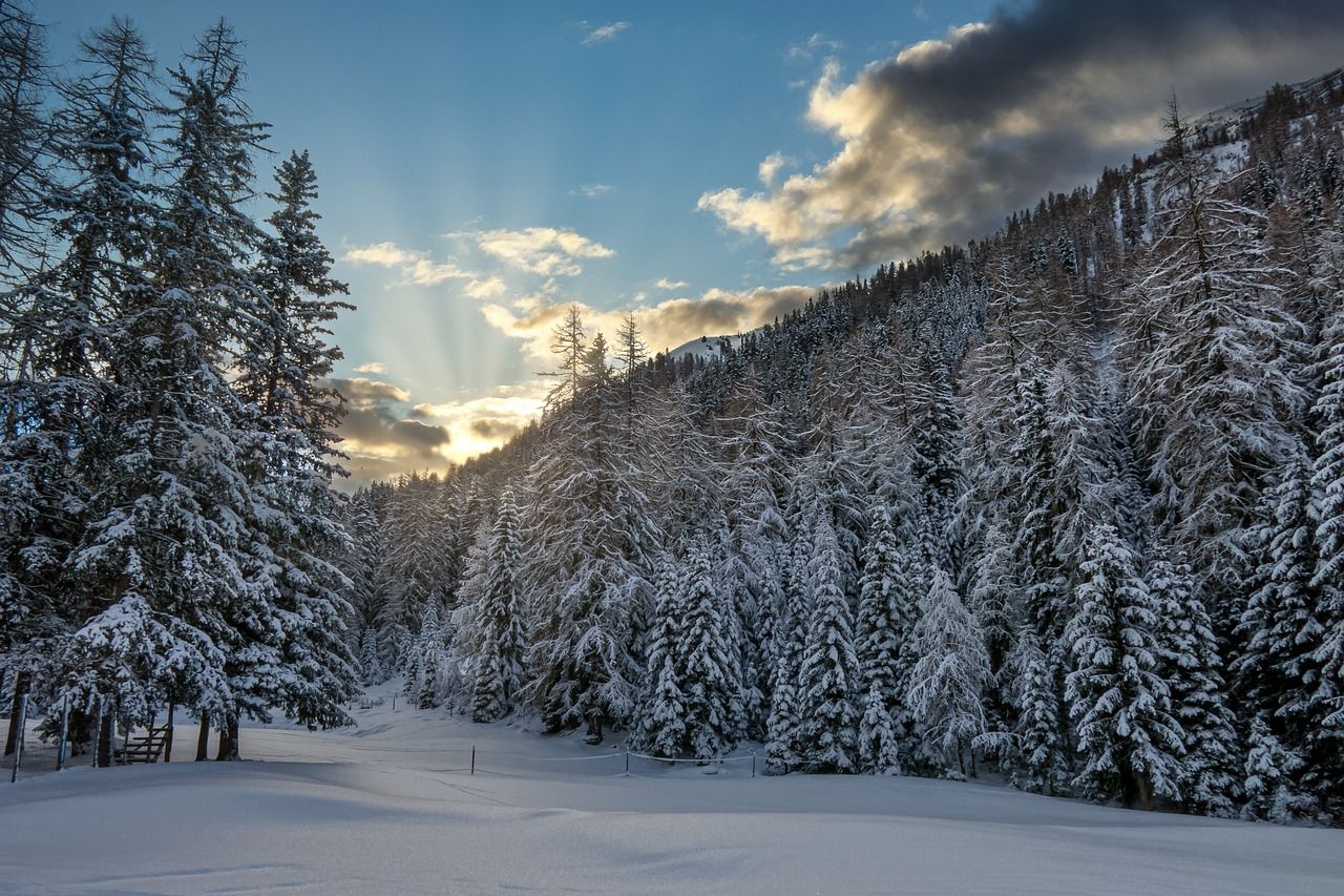 Davos Wallpapers - Top Free Davos Backgrounds - WallpaperAccess