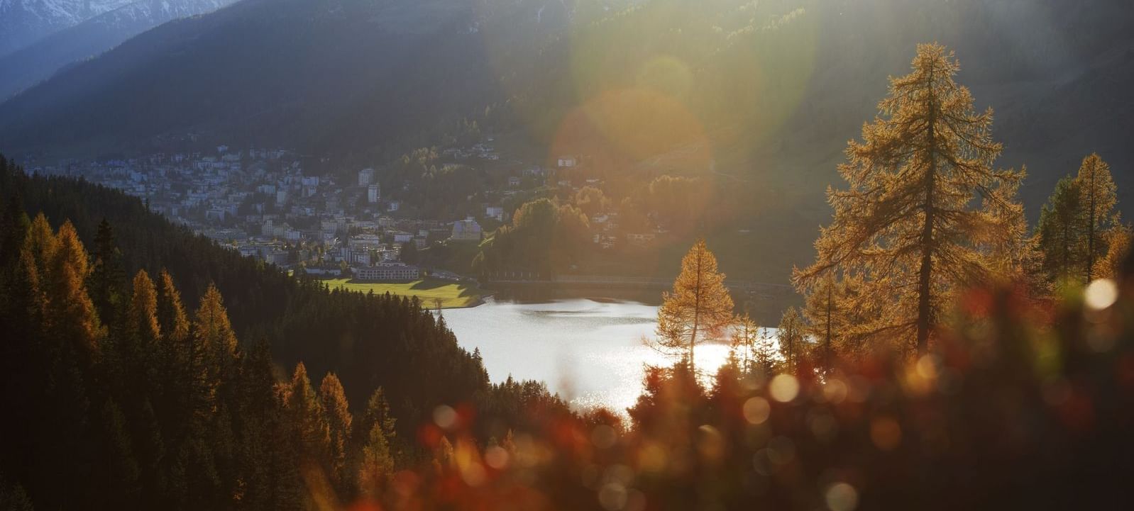 Davos Wallpapers - Top Free Davos Backgrounds - WallpaperAccess