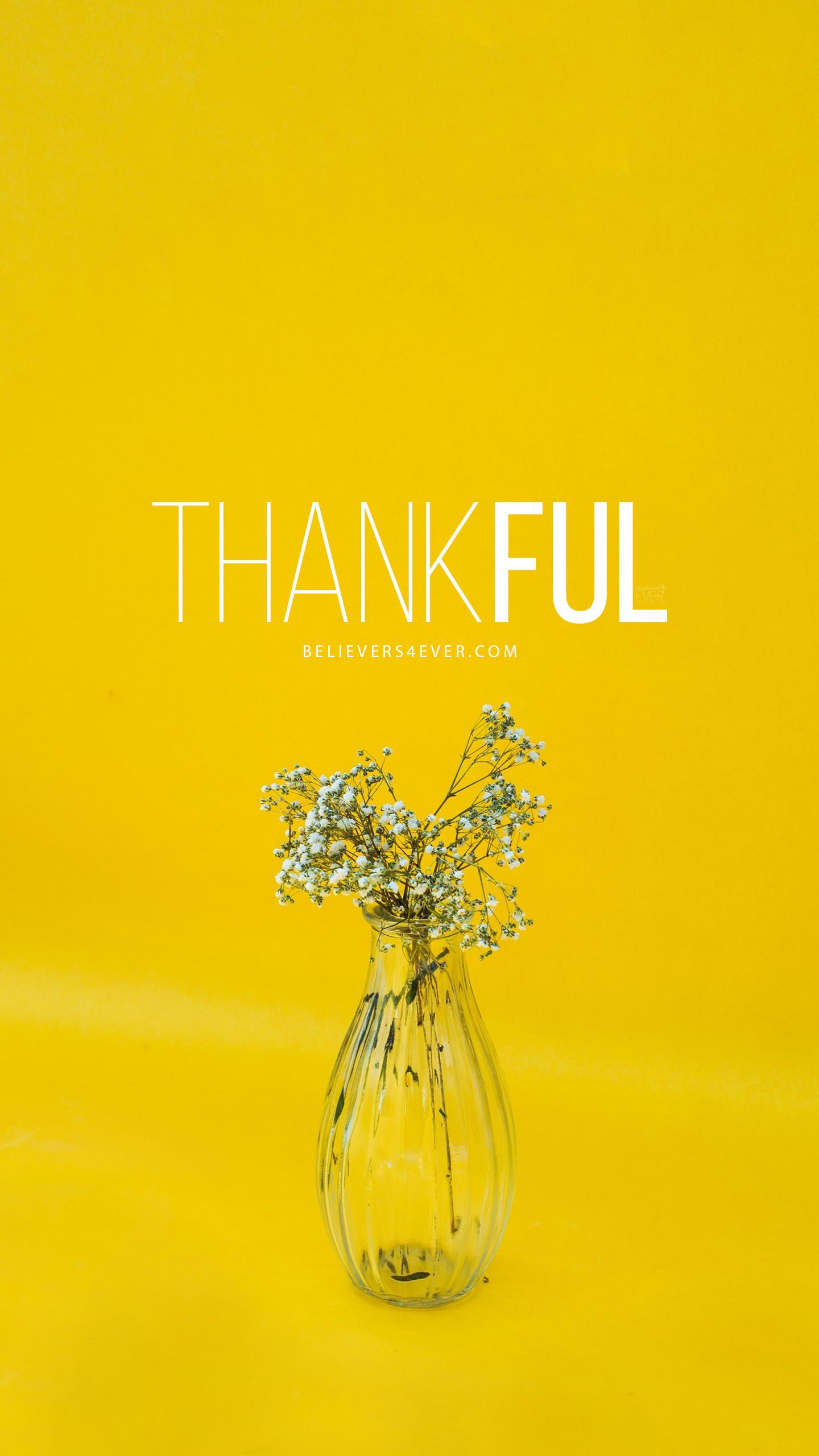 Thankful Wallpapers - Top Free Thankful Backgrounds - WallpaperAccess