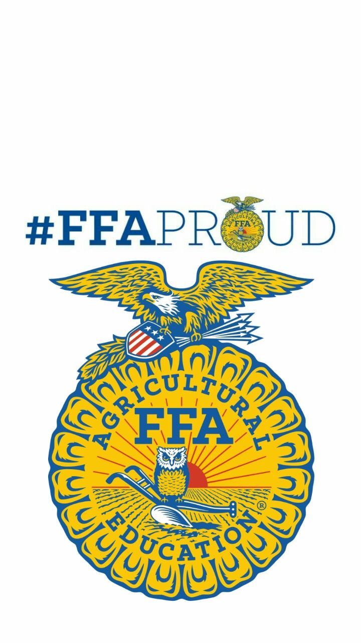 FFA Wallpapers - Top Free FFA Backgrounds - WallpaperAccess