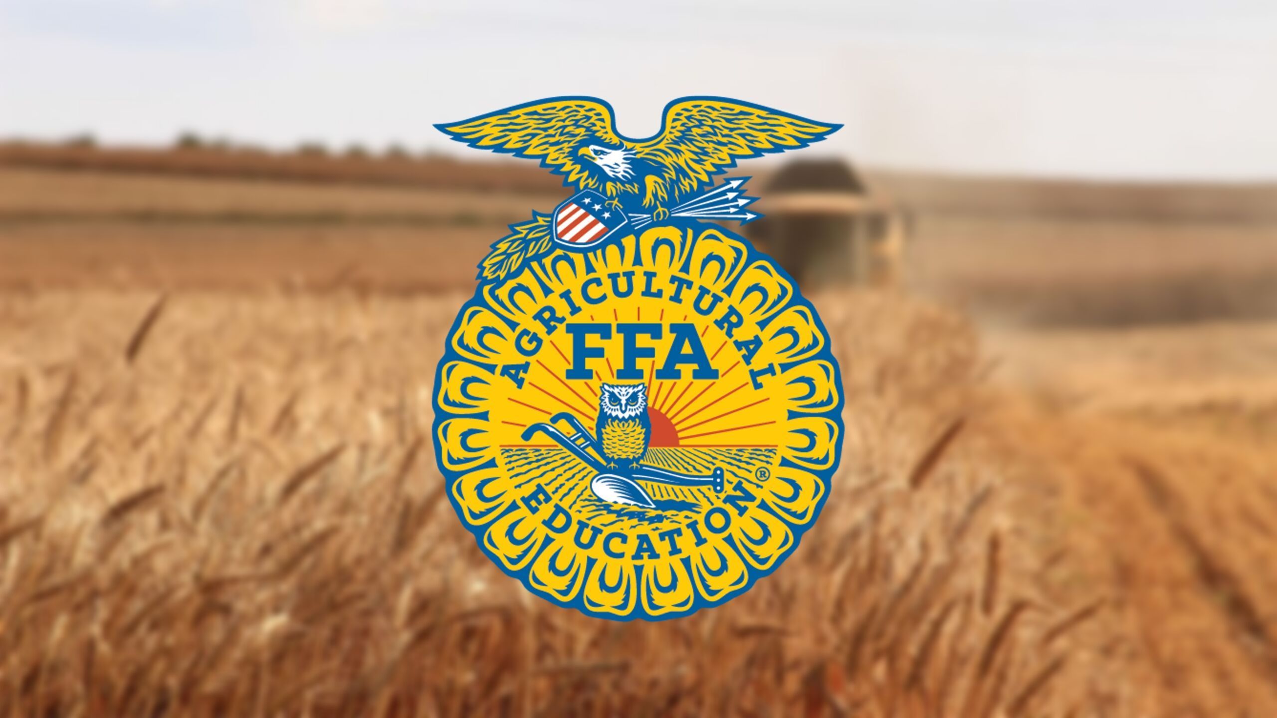 FFA Wallpapers - Top Free FFA Backgrounds - WallpaperAccess