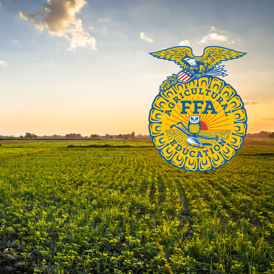 FFA Wallpapers - Top Free FFA Backgrounds - WallpaperAccess