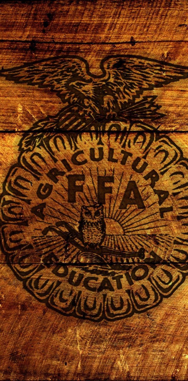 FFA Wallpapers - Top Free FFA Backgrounds - WallpaperAccess