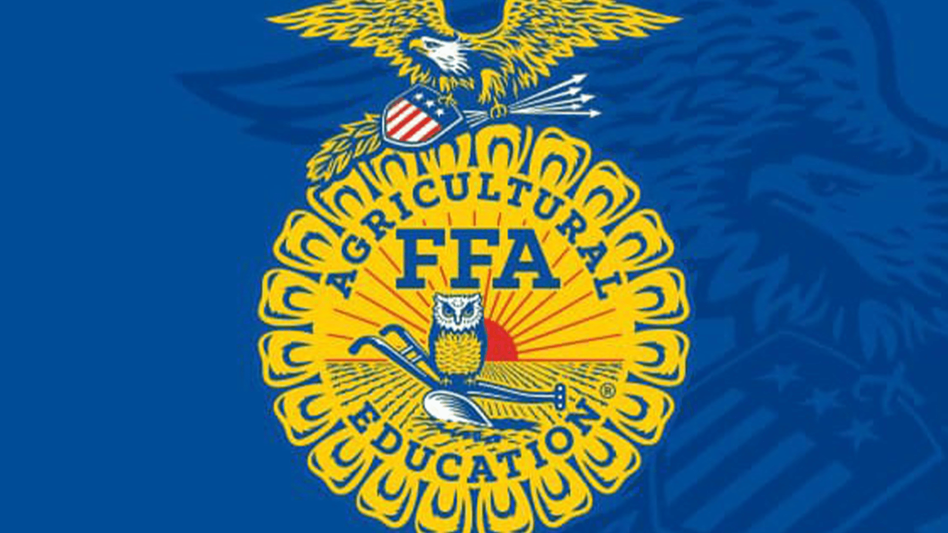 FFA Wallpapers - Top Free FFA Backgrounds - WallpaperAccess