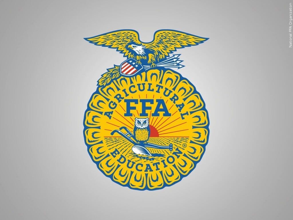 FFA Wallpapers - Top Free FFA Backgrounds - WallpaperAccess
