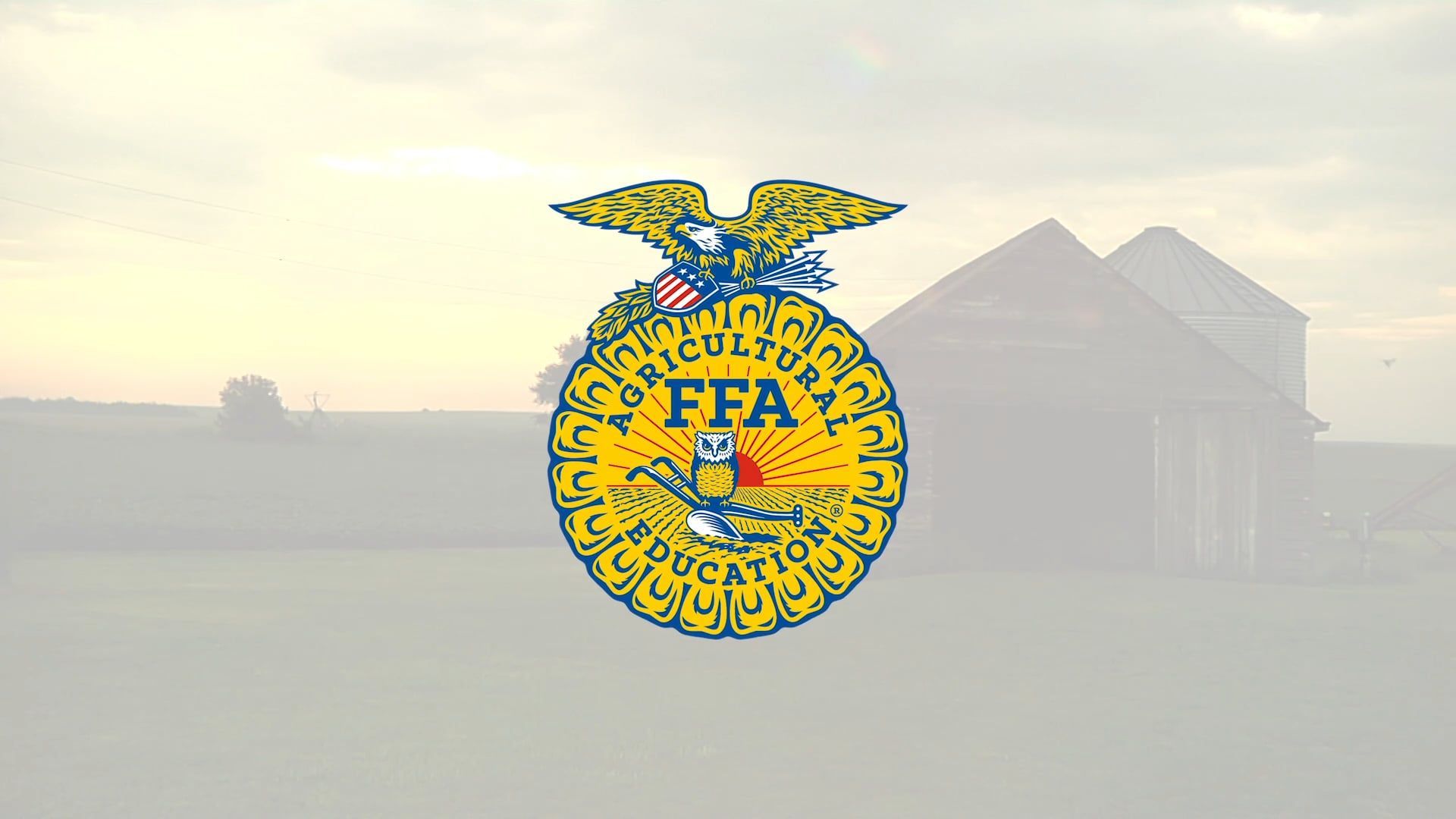 FFA Wallpapers - Top Free FFA Backgrounds - WallpaperAccess