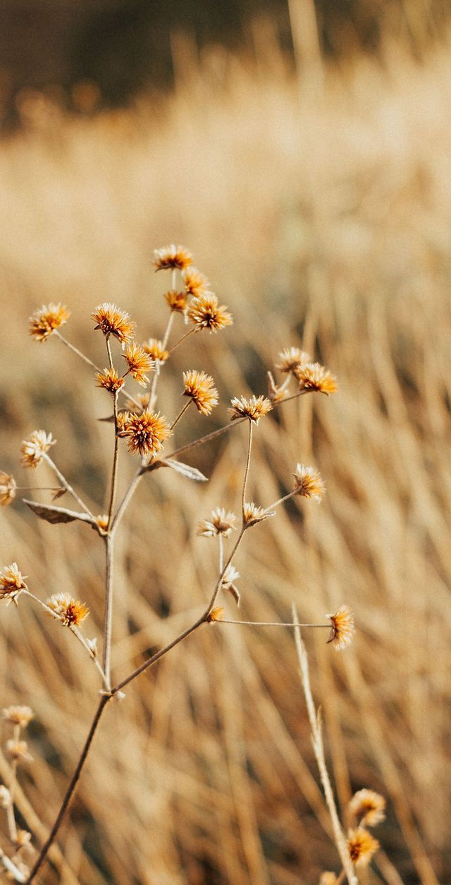 FFA Wallpapers - Top Free FFA Backgrounds - WallpaperAccess