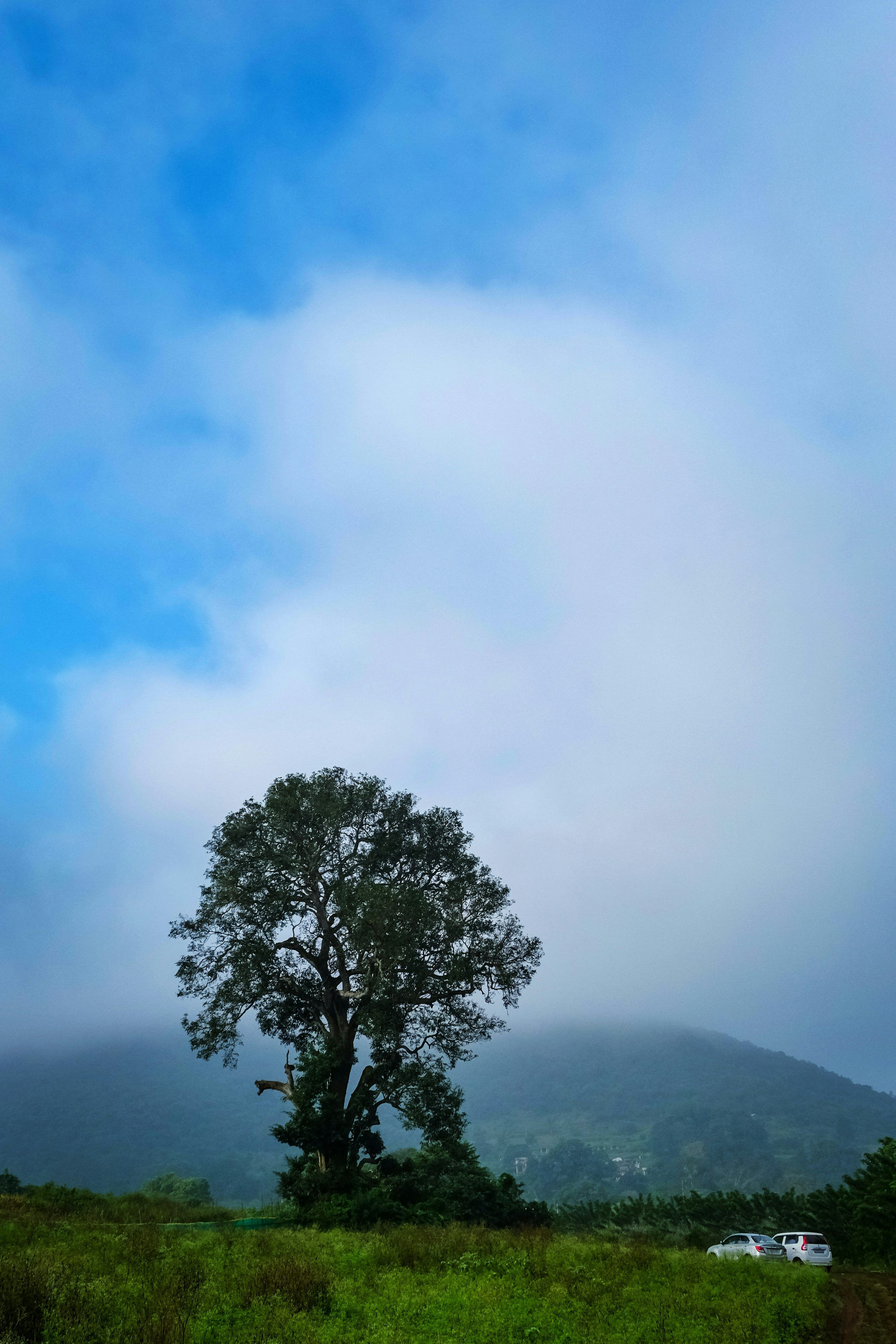 Araku Wallpapers - Top Free Araku Backgrounds - WallpaperAccess