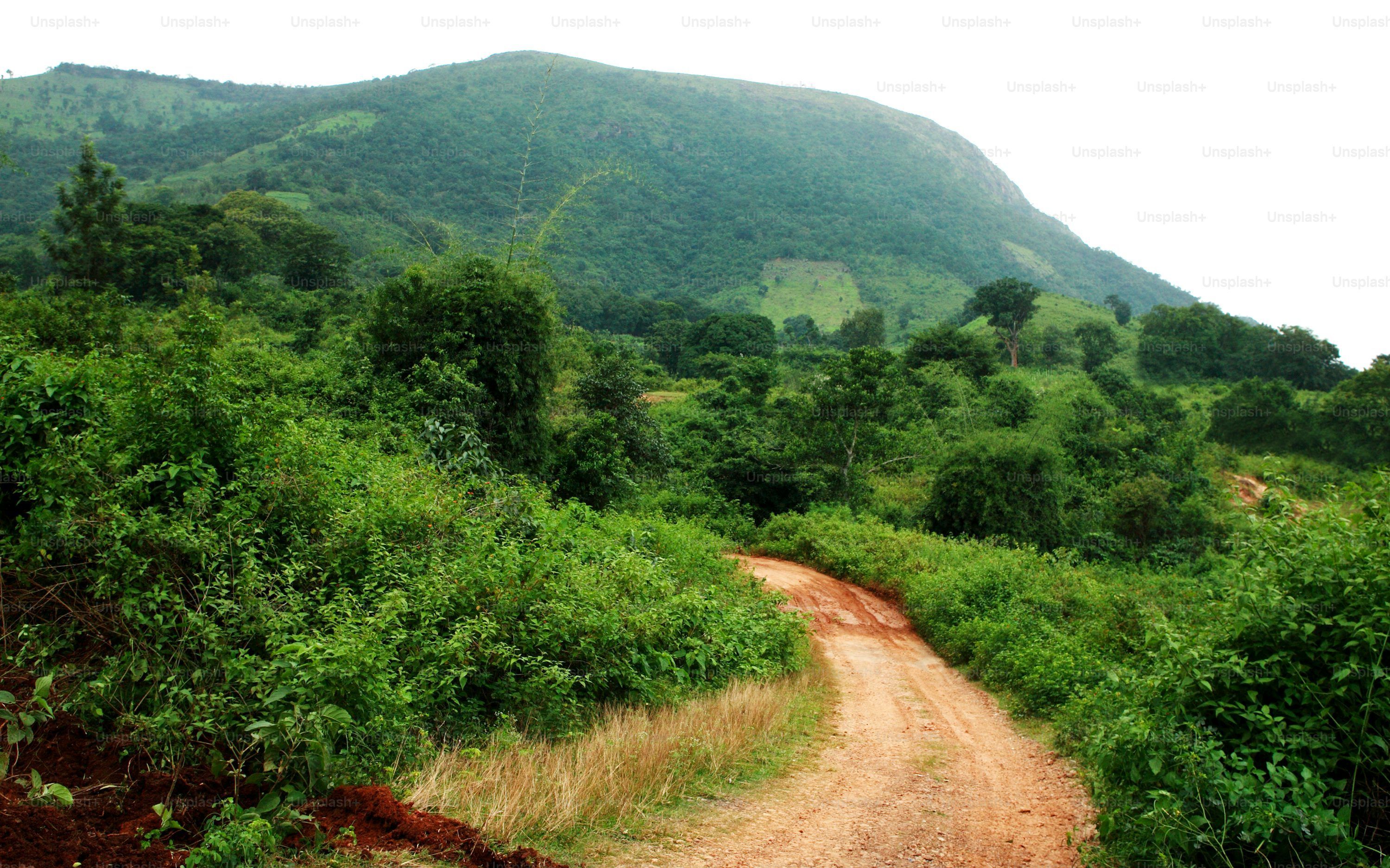 Araku Wallpapers - Top Free Araku Backgrounds - WallpaperAccess