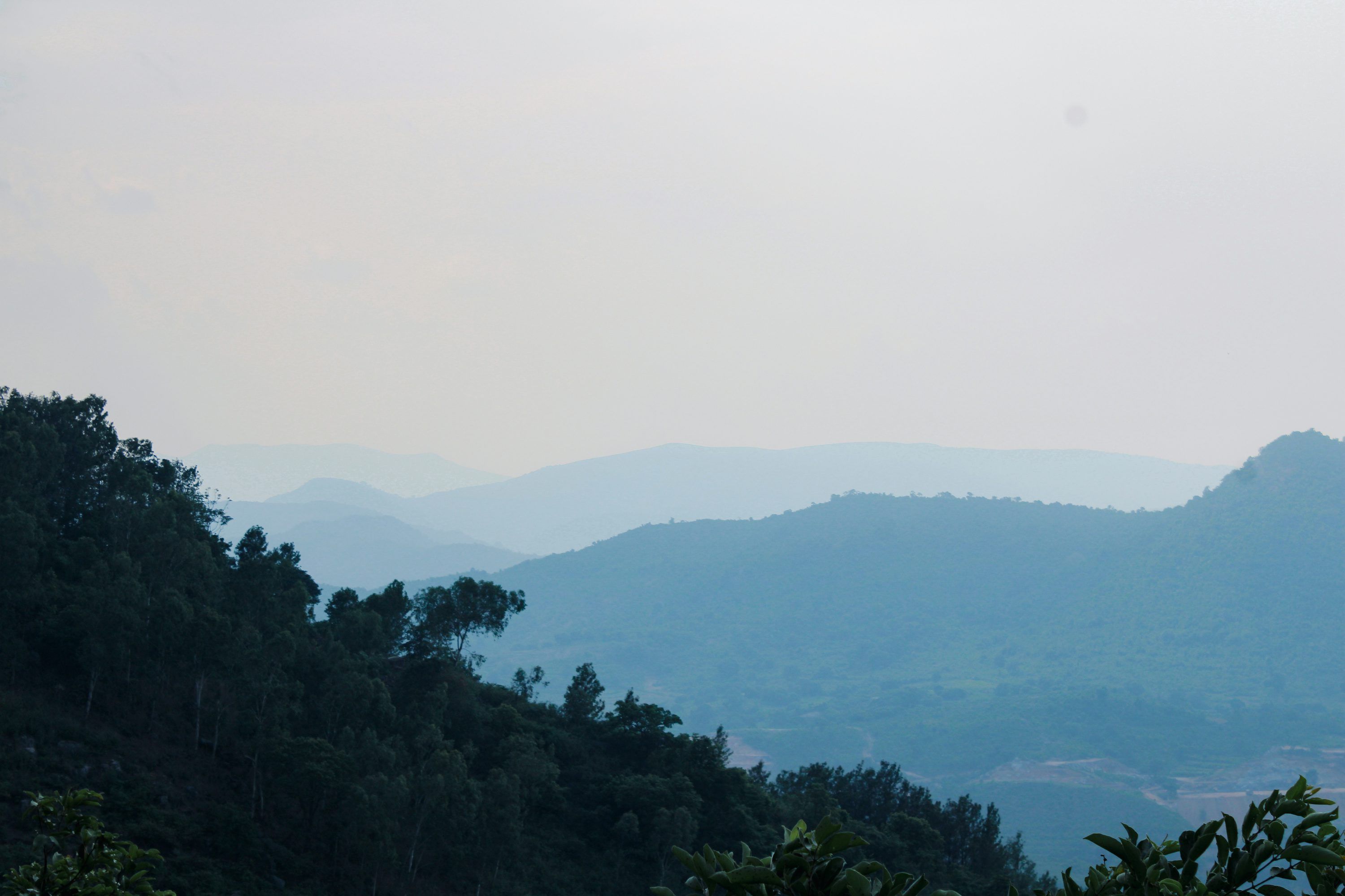 Araku Wallpapers - Top Free Araku Backgrounds - WallpaperAccess