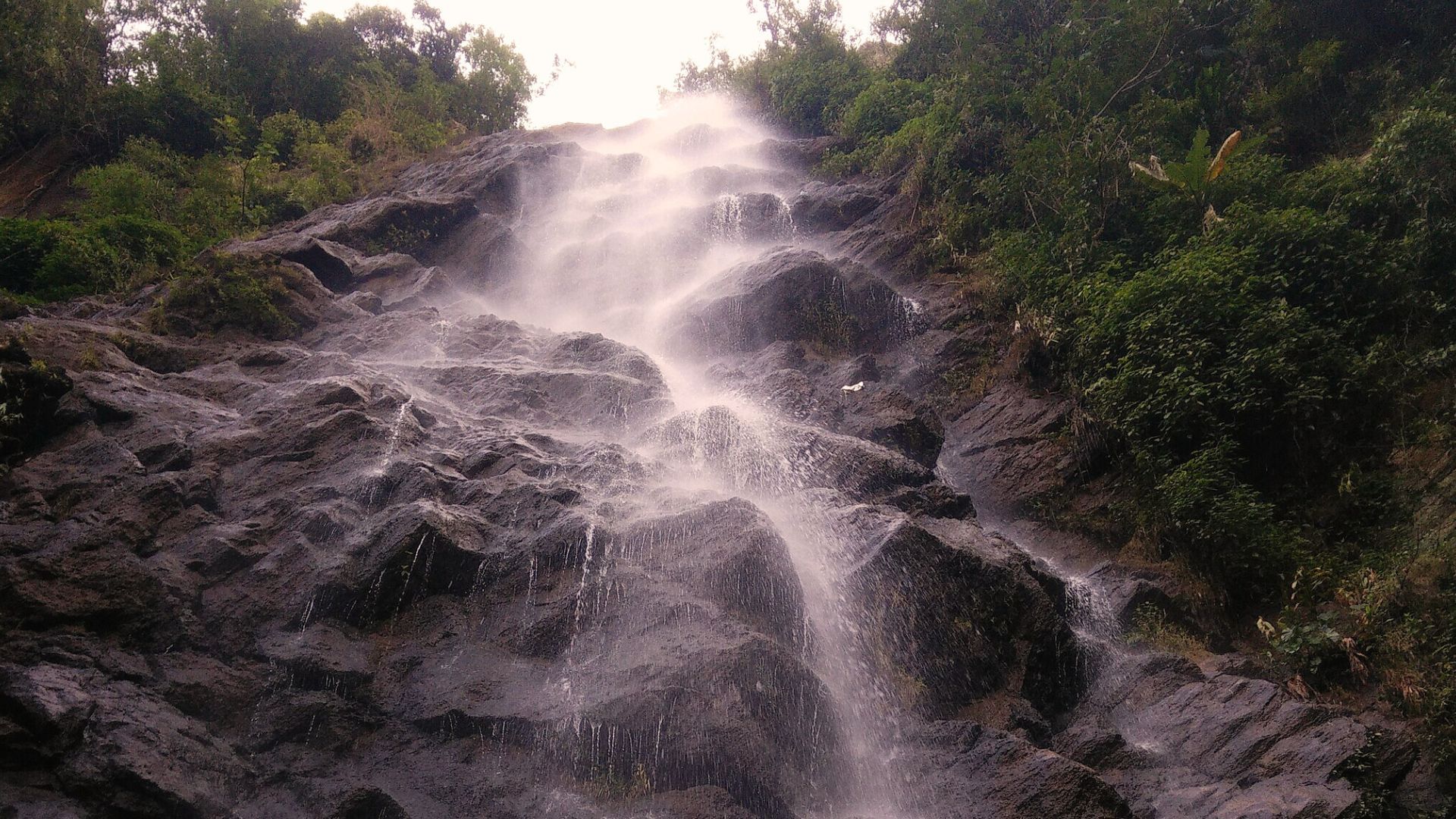 Araku Wallpapers - Top Free Araku Backgrounds - WallpaperAccess