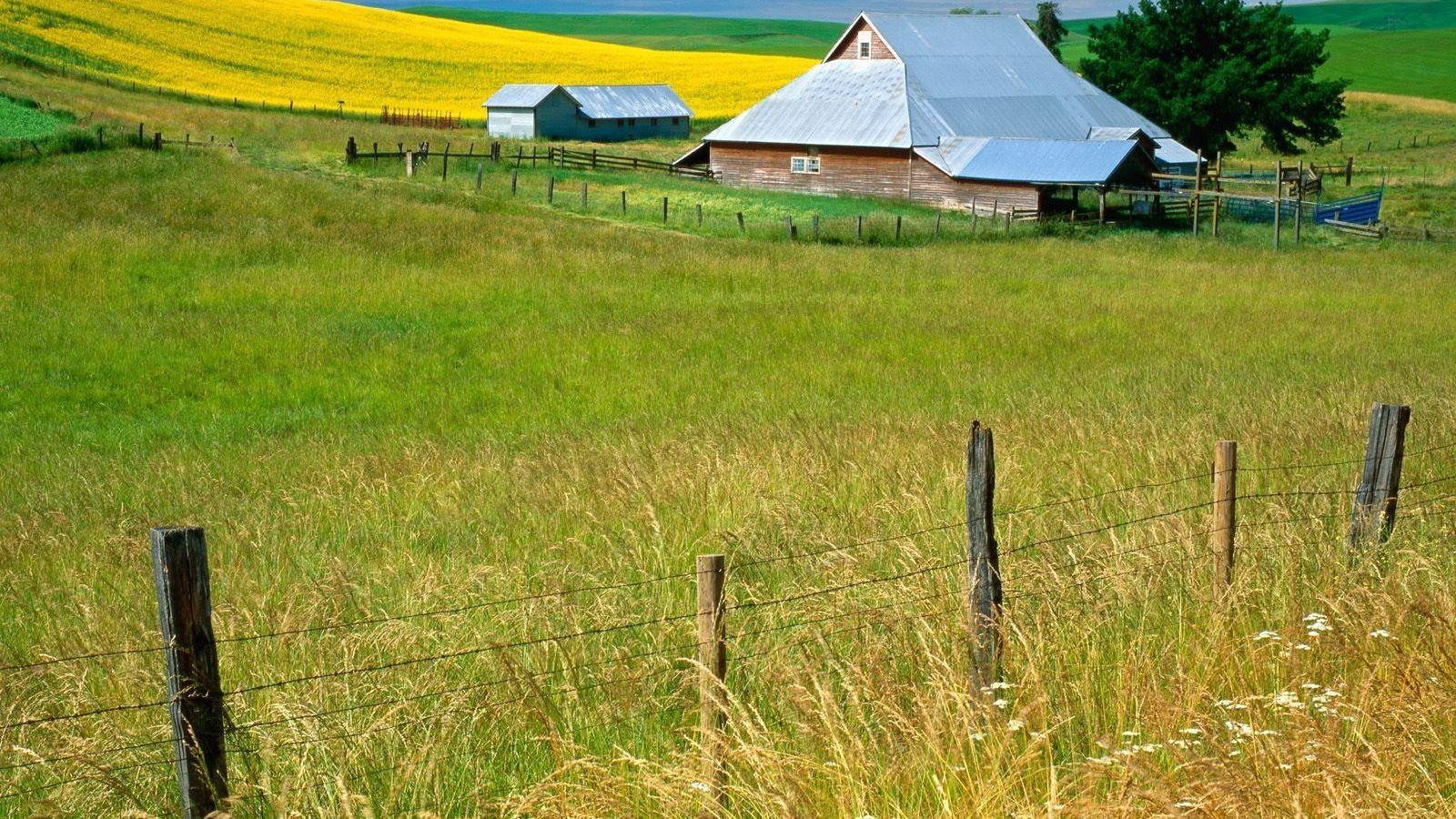 3D Farm Wallpapers - Top Free 3D Farm Backgrounds - WallpaperAccess