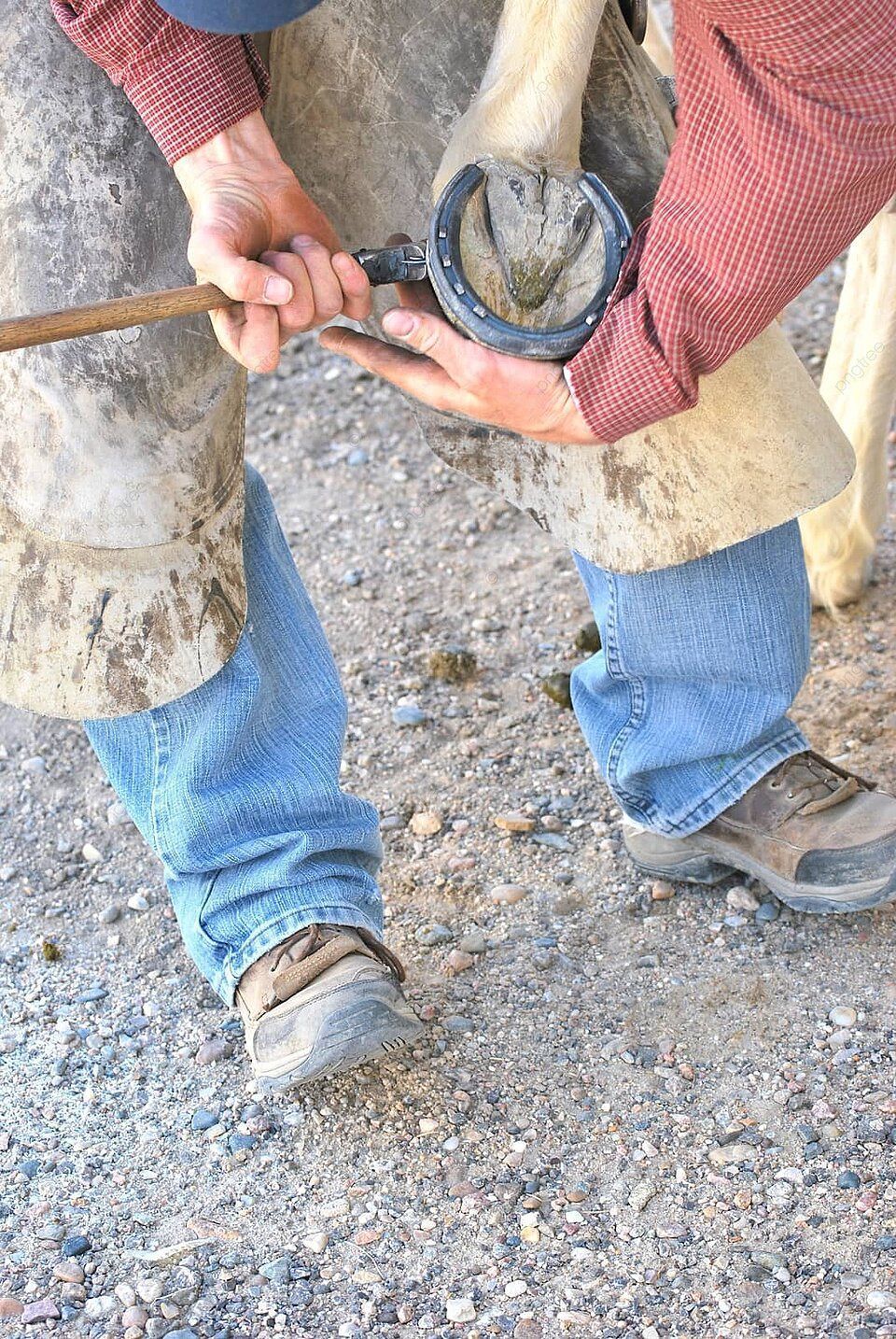 Farrier Wallpapers - Top Free Farrier Backgrounds - WallpaperAccess