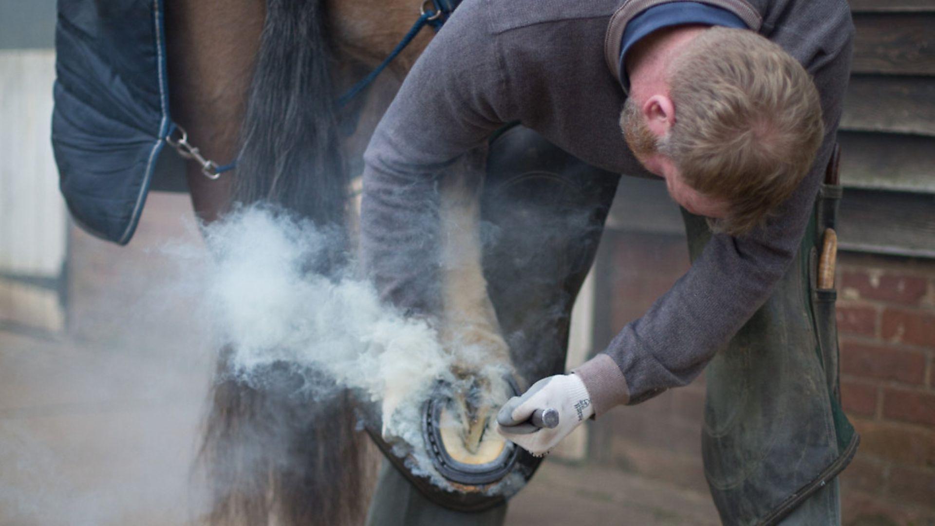 Farrier Wallpapers - Top Free Farrier Backgrounds - WallpaperAccess