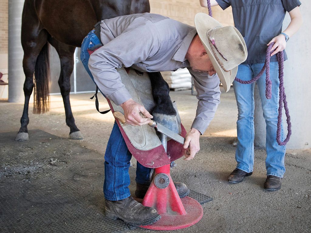 Farrier Wallpapers - Top Free Farrier Backgrounds - WallpaperAccess