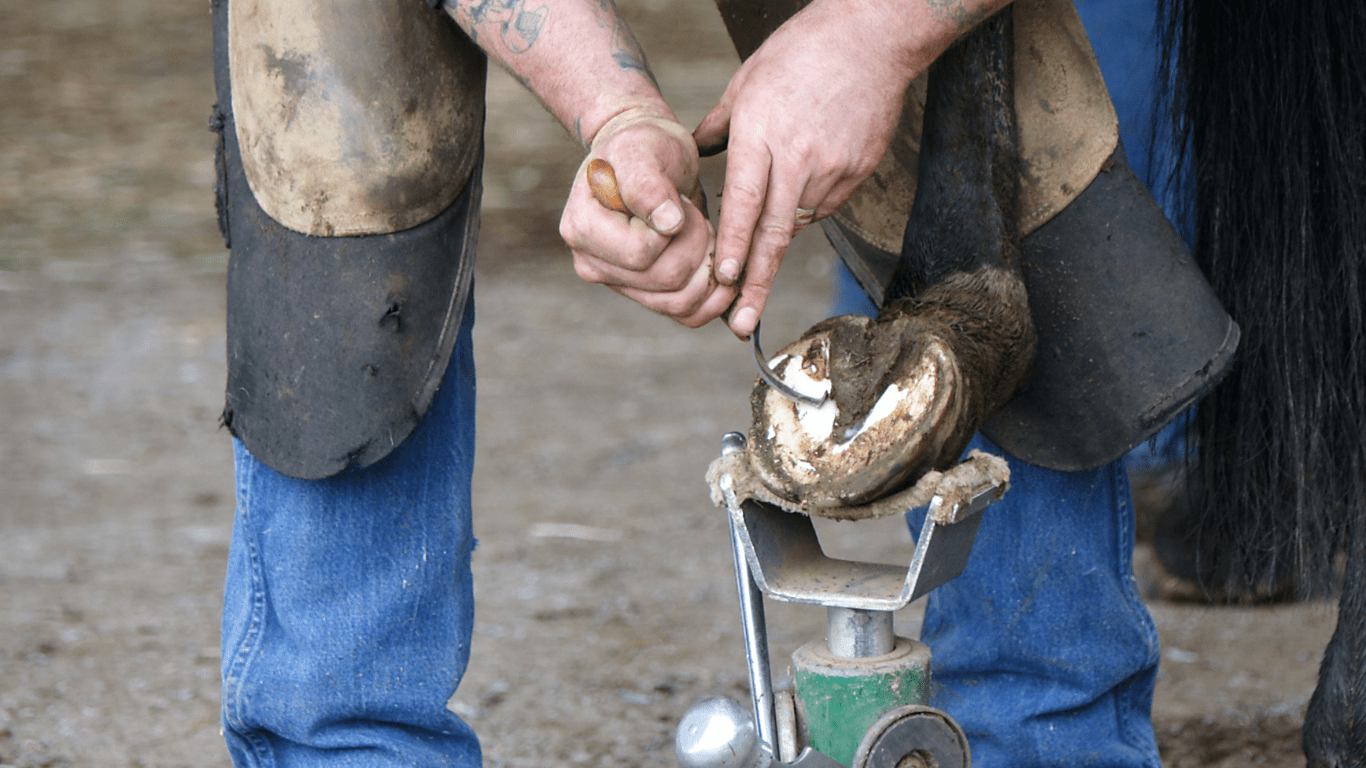 Farrier Wallpapers - Top Free Farrier Backgrounds - WallpaperAccess