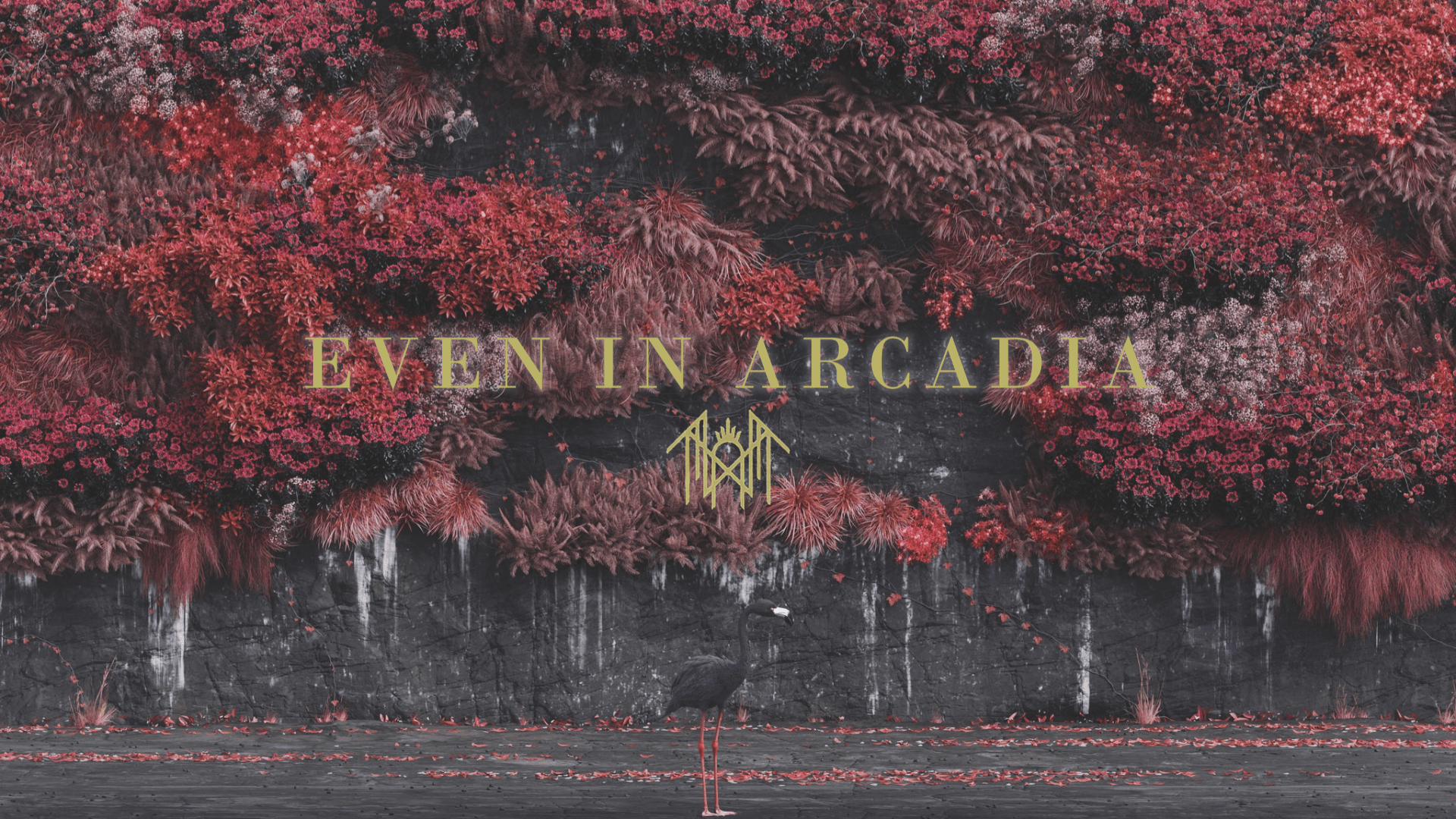 Even In Arcadia Wallpapers - Top Free Even In Arcadia Backgrounds ...