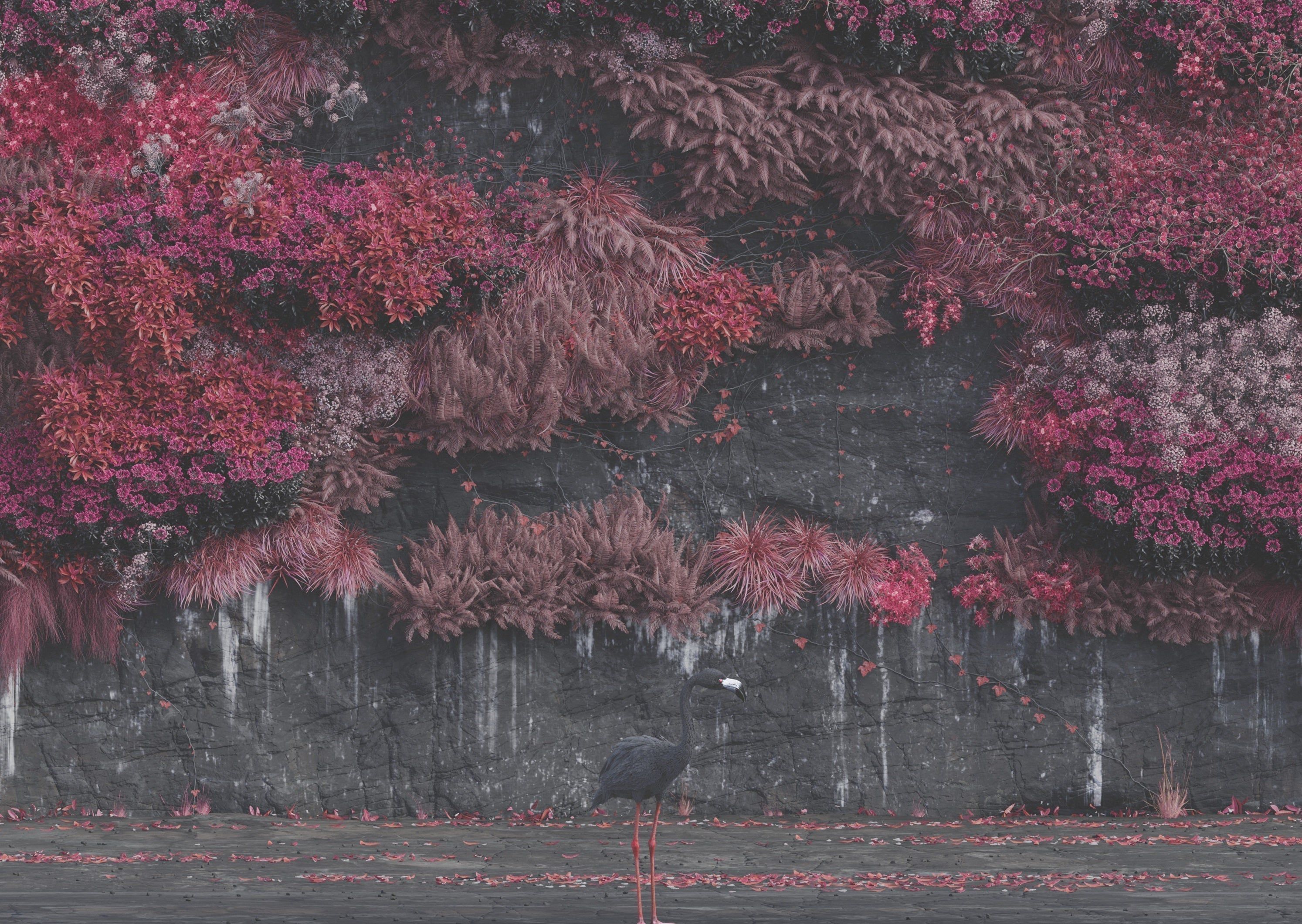 Even In Arcadia Wallpapers - Top Free Even In Arcadia Backgrounds ...