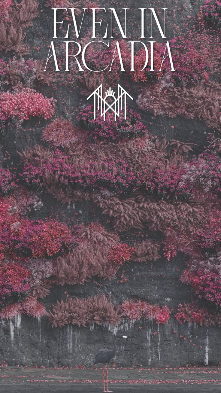 Even In Arcadia Wallpapers - Top Free Even In Arcadia Backgrounds - WallpaperAccess